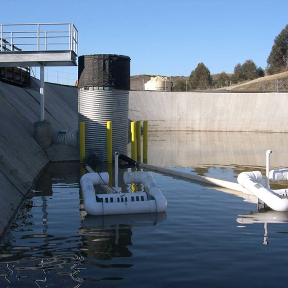 Gallery - Faircloth Skimmer