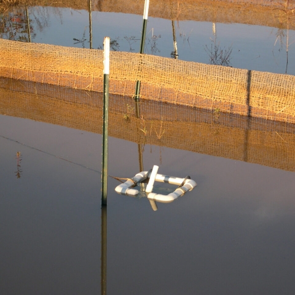 Gallery - Faircloth Skimmer